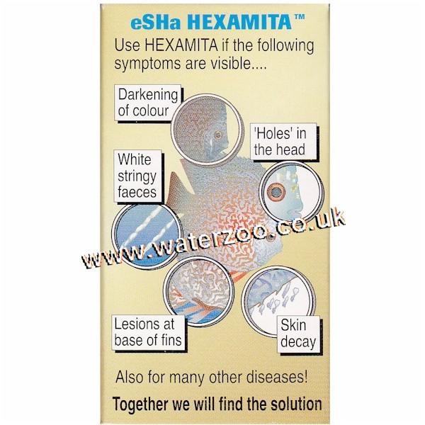 Esha Hexamita 20ml | The WaterZoo | Tropical fish | marine fish & aquariums